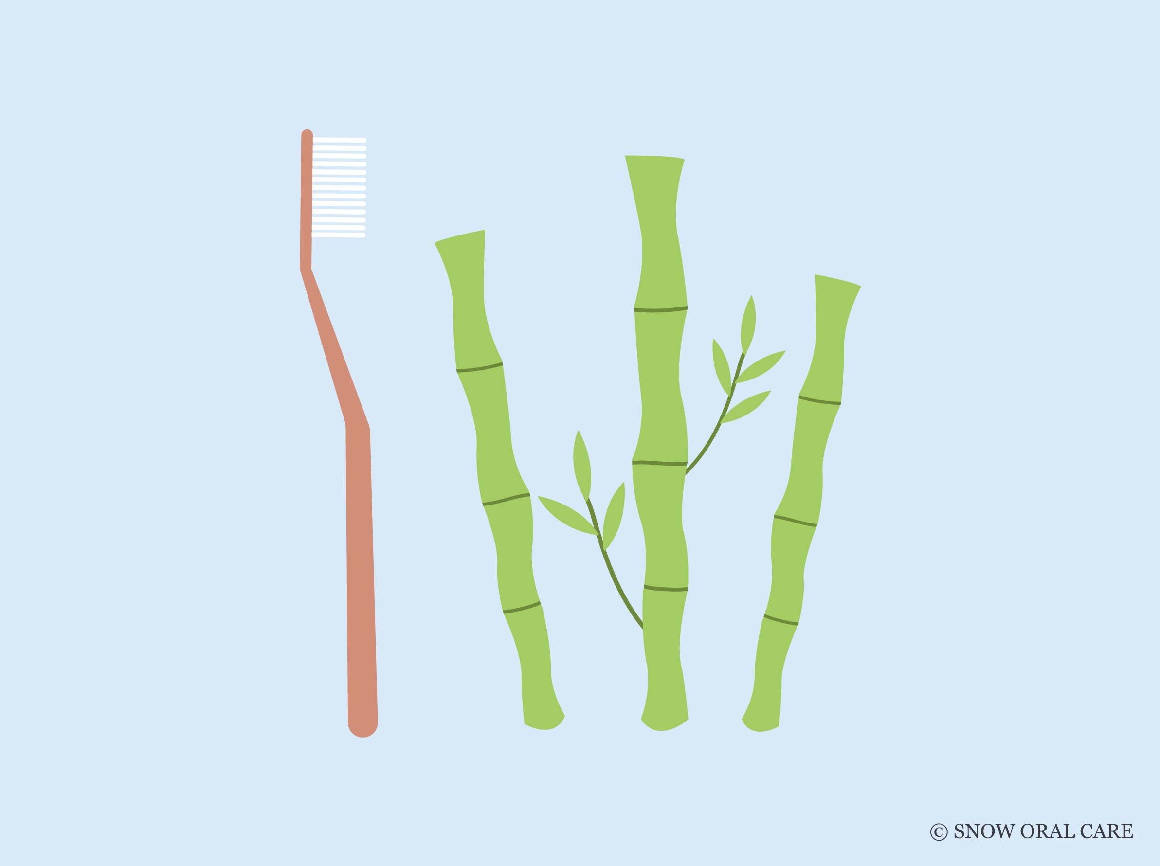 Bamboo Toothbrush Benefits | SNOW® Oral Care