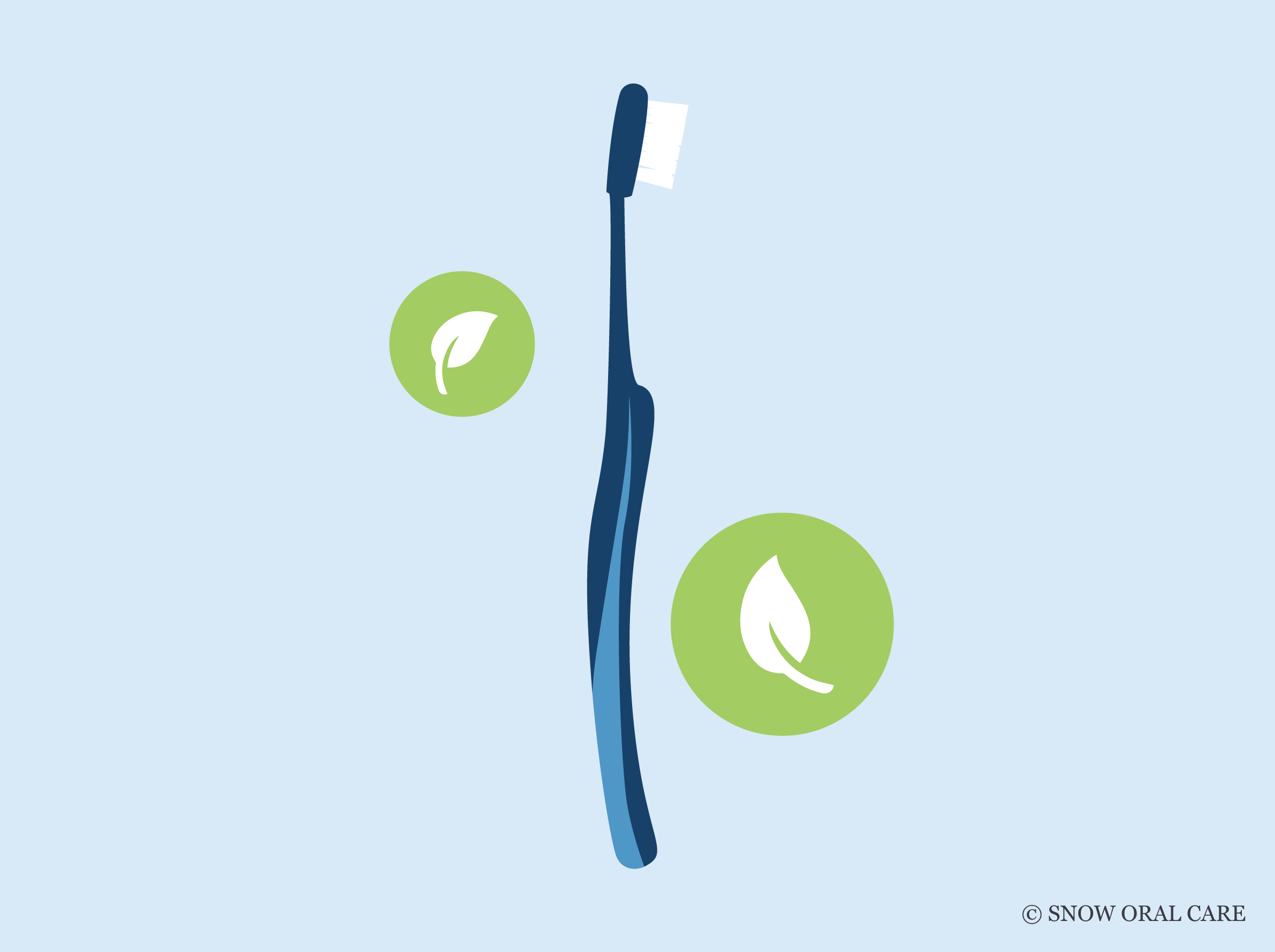 Best Biodegradable Toothbrush: SNOWs Sustainable Selection! – SNOW ...