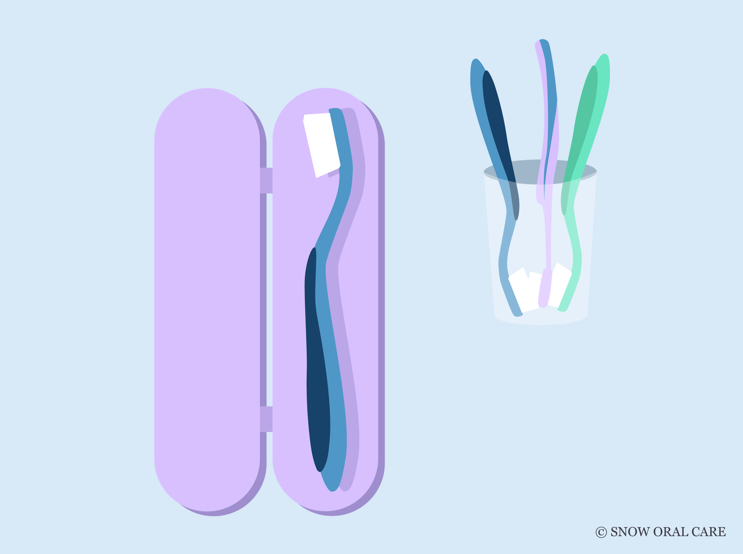 Best Way to Store a Toothbrush: SNOWs Secret Tip!