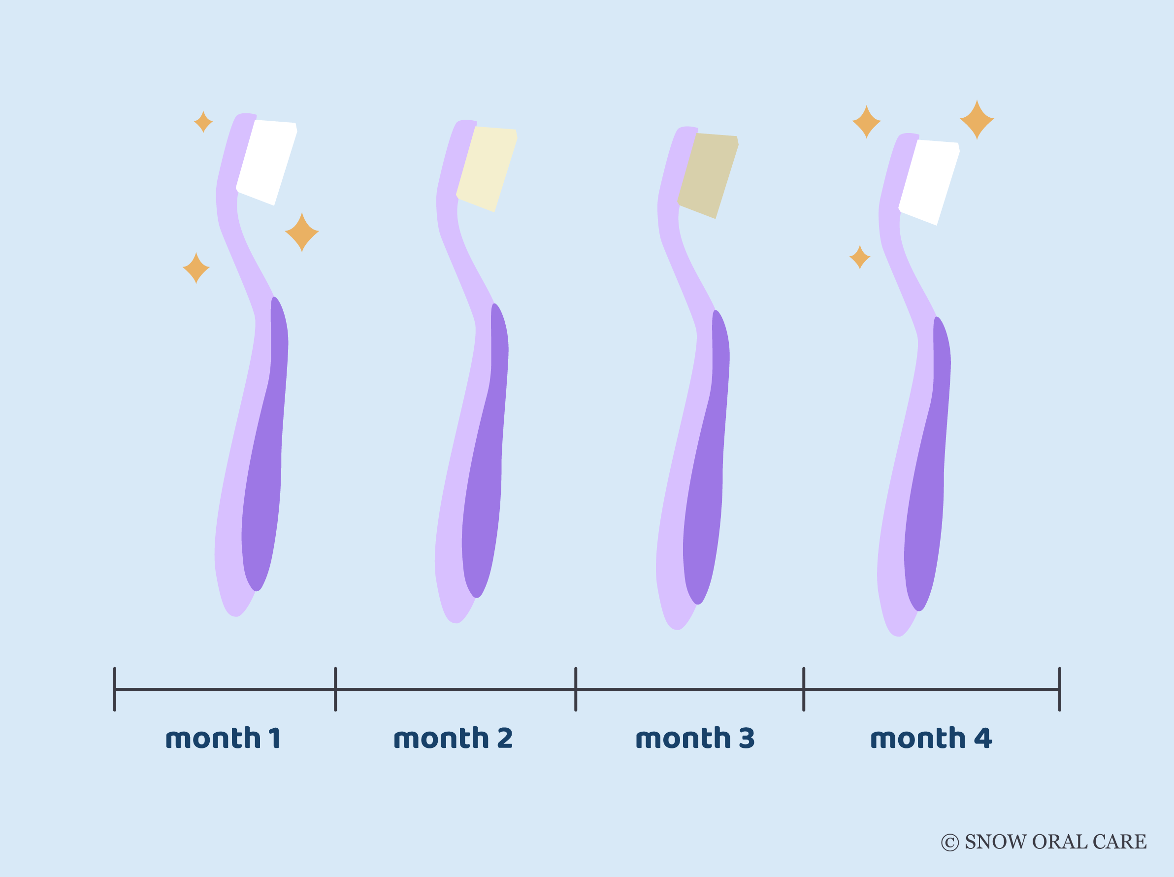 Why Change Toothbrush Every 3 Months: SNOWs Strategy!